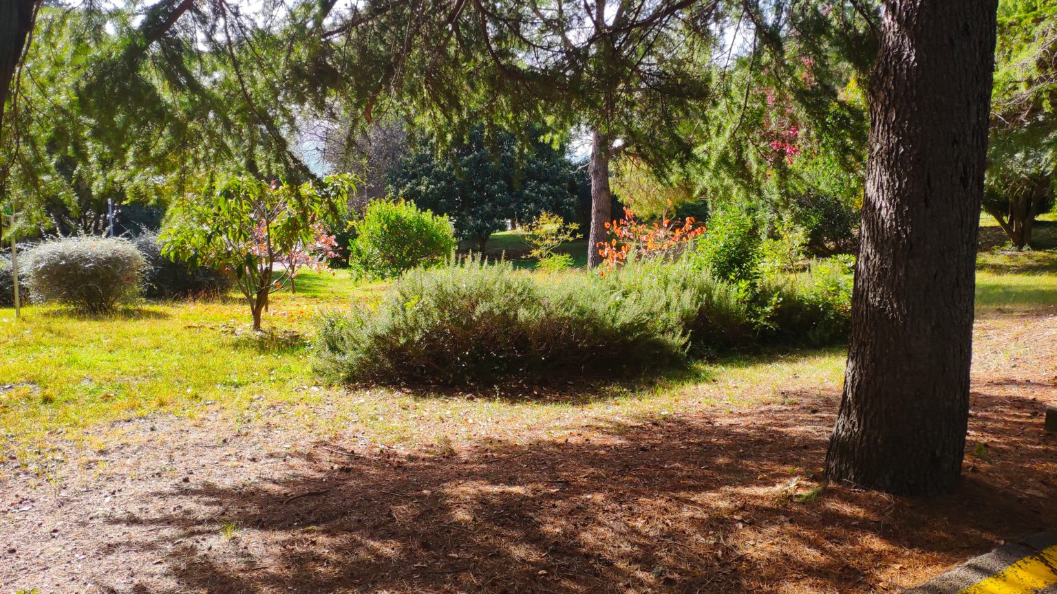 Arboretum Debeli rtič - BUTMUZ